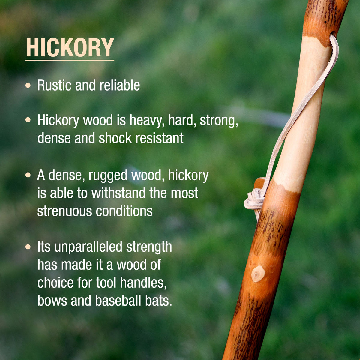 Twisted Hickory Rustic Walking Stick – Brazos Walking Sticks