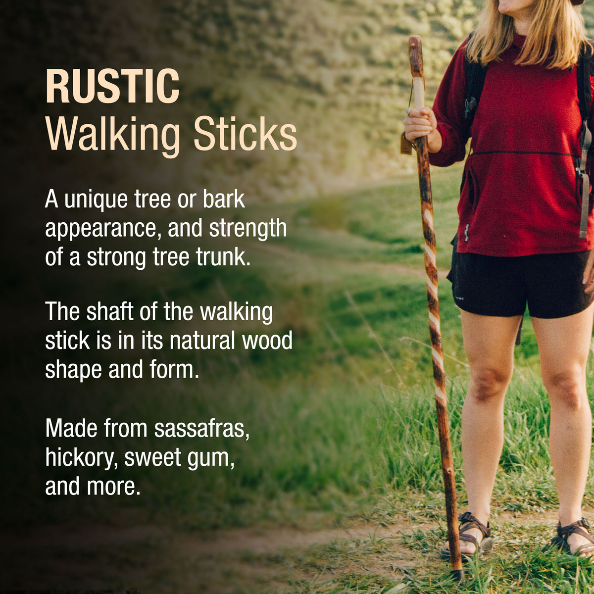 Twisted Hickory Rustic Walking Stick – Brazos Walking Sticks
