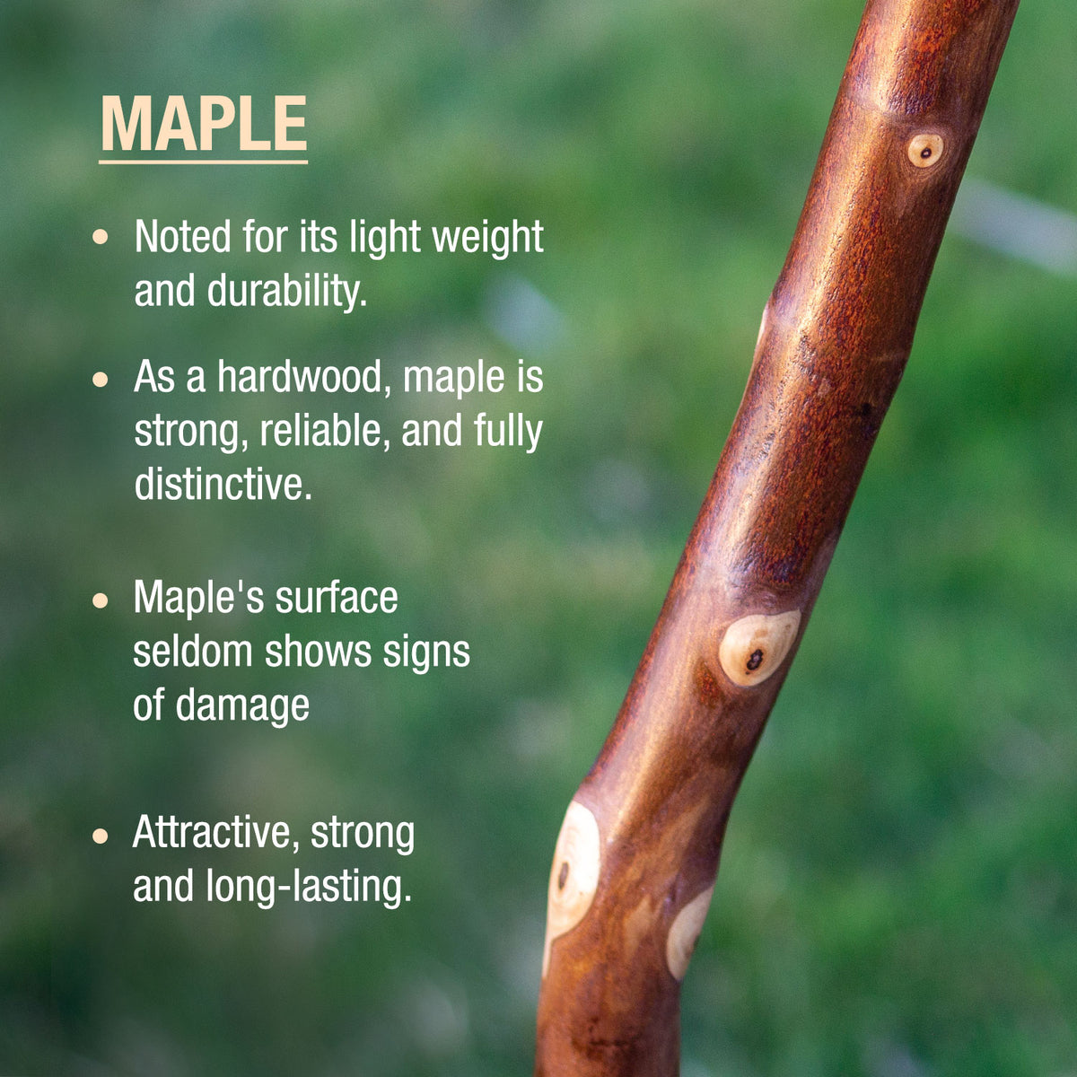 Maple Rustic Walking Stick 55" – Brazos Walking Sticks