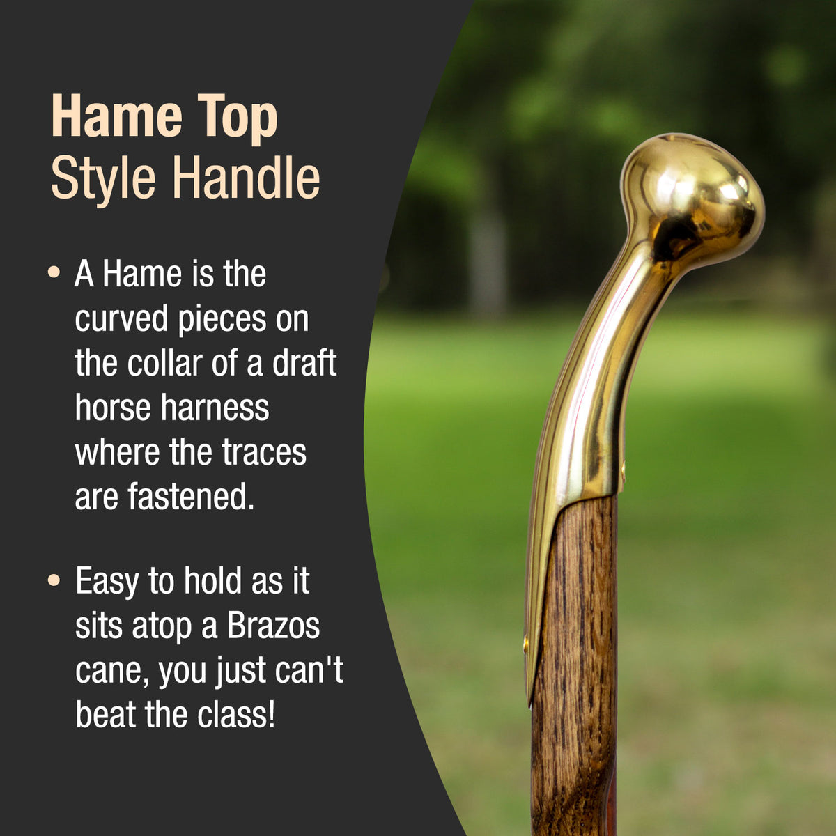 Twisted Brown Oak Hame Top Handcrafted Walking Cane 37" – Brazos ...