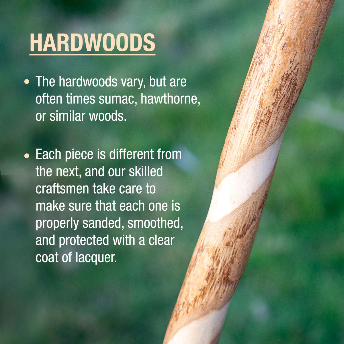 Twisted Assorted Hardwood Rustic Walking Stick 55" – Brazos Walking Sticks