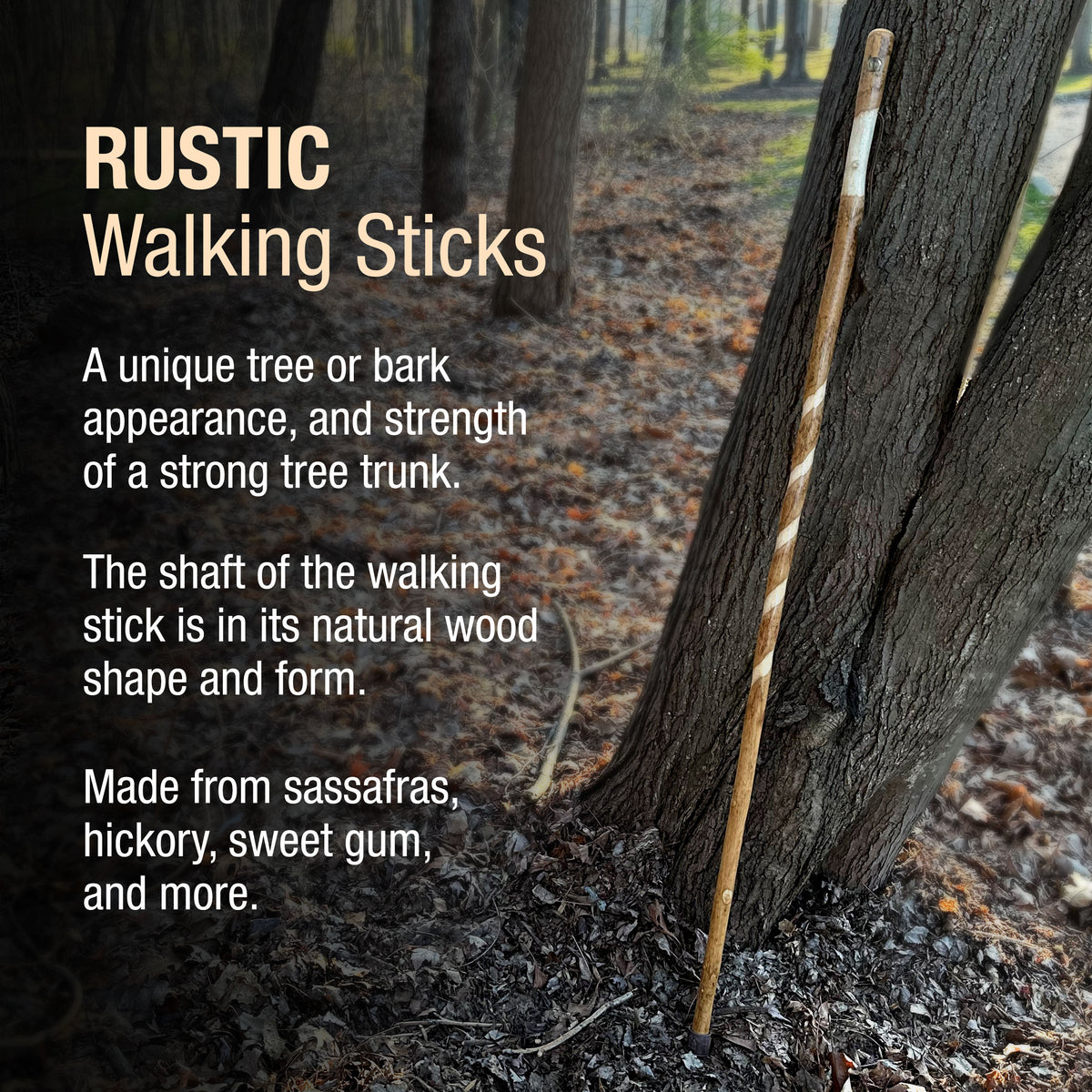 Twisted Assorted Hardwood Rustic Walking Stick 55" – Brazos Walking Sticks
