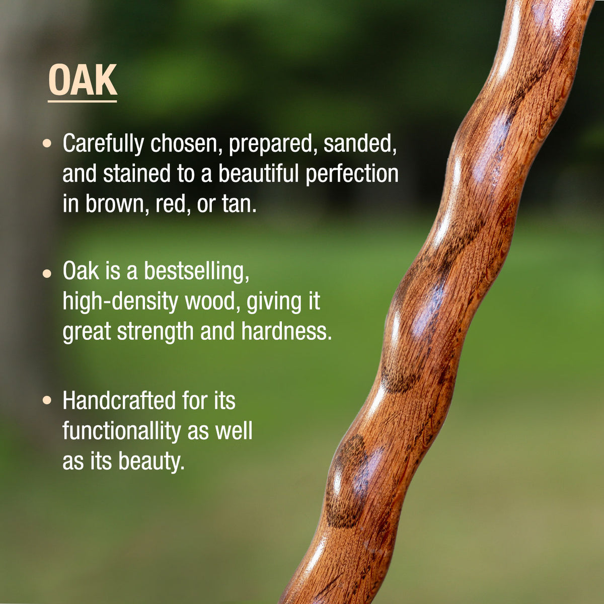 Twisted Oak Hitchhiker Handcrafted Walking Stick – Brazos Walking Sticks