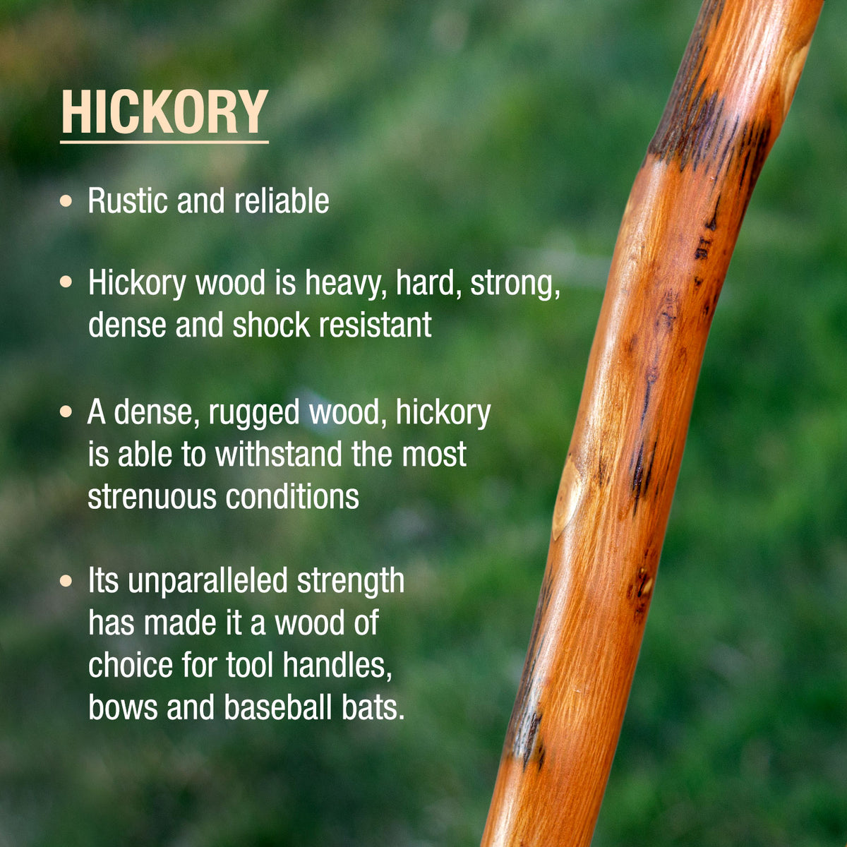 Exotic Leather Safari Hickory Rustic Walking Stick – Brazos Walking Sticks
