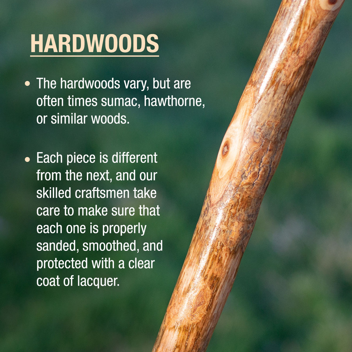 Assorted Hardwood Rustic Walking Stick – Brazos Walking Sticks